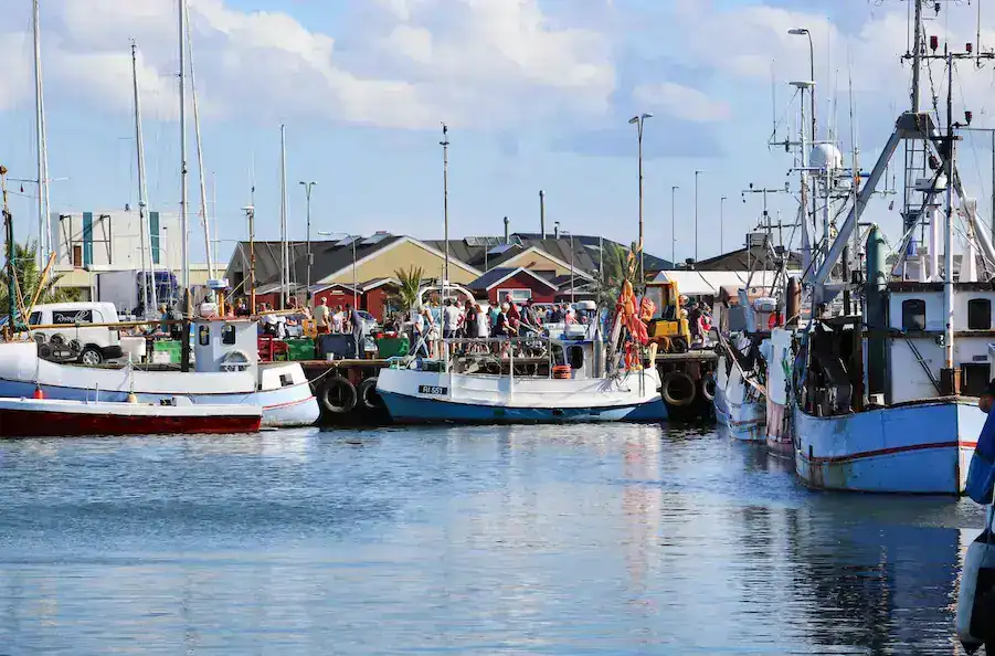 Strandby Fishing Harbour - Visit Vendsyssel